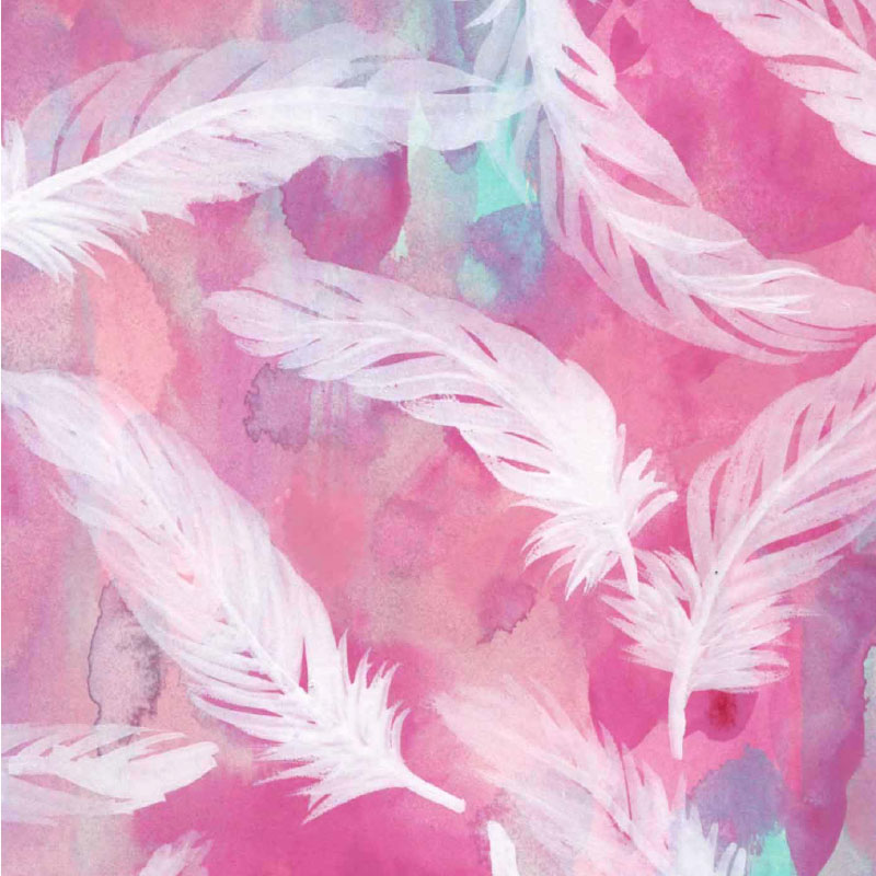Feather | momo cosmos